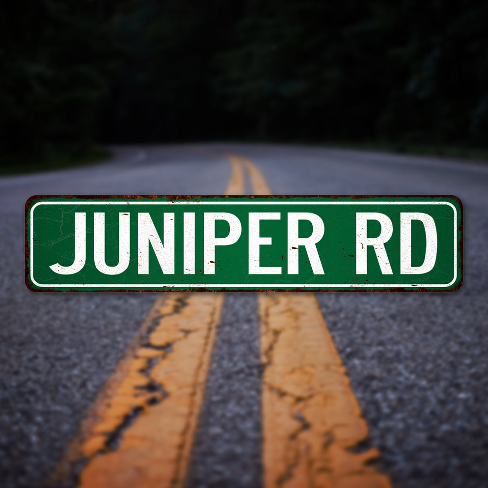 Personalized Green Street Sign Metal 4x18 104180001001 — Chico Creek Signs