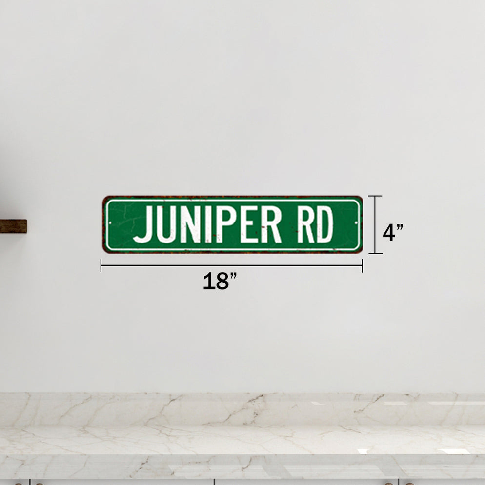 Personalized Green Street Sign Metal 4x18 104180001001 — Chico Creek Signs